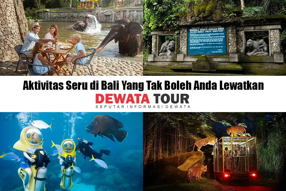 Aktivitas Seru di Bali Yang Tak Boleh Anda Lewatkan - Dewata Tour